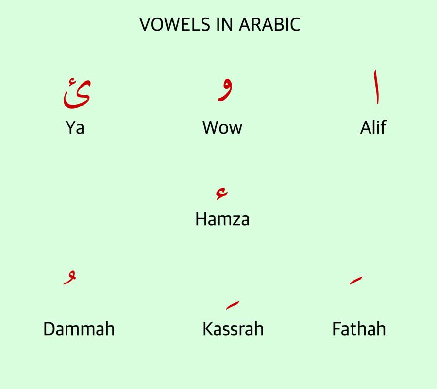 What Is Harakat In Arabic A Comprehensive Guide With Examples And What Is Harakat In Arabic A Comprehensive Guide With Examples And