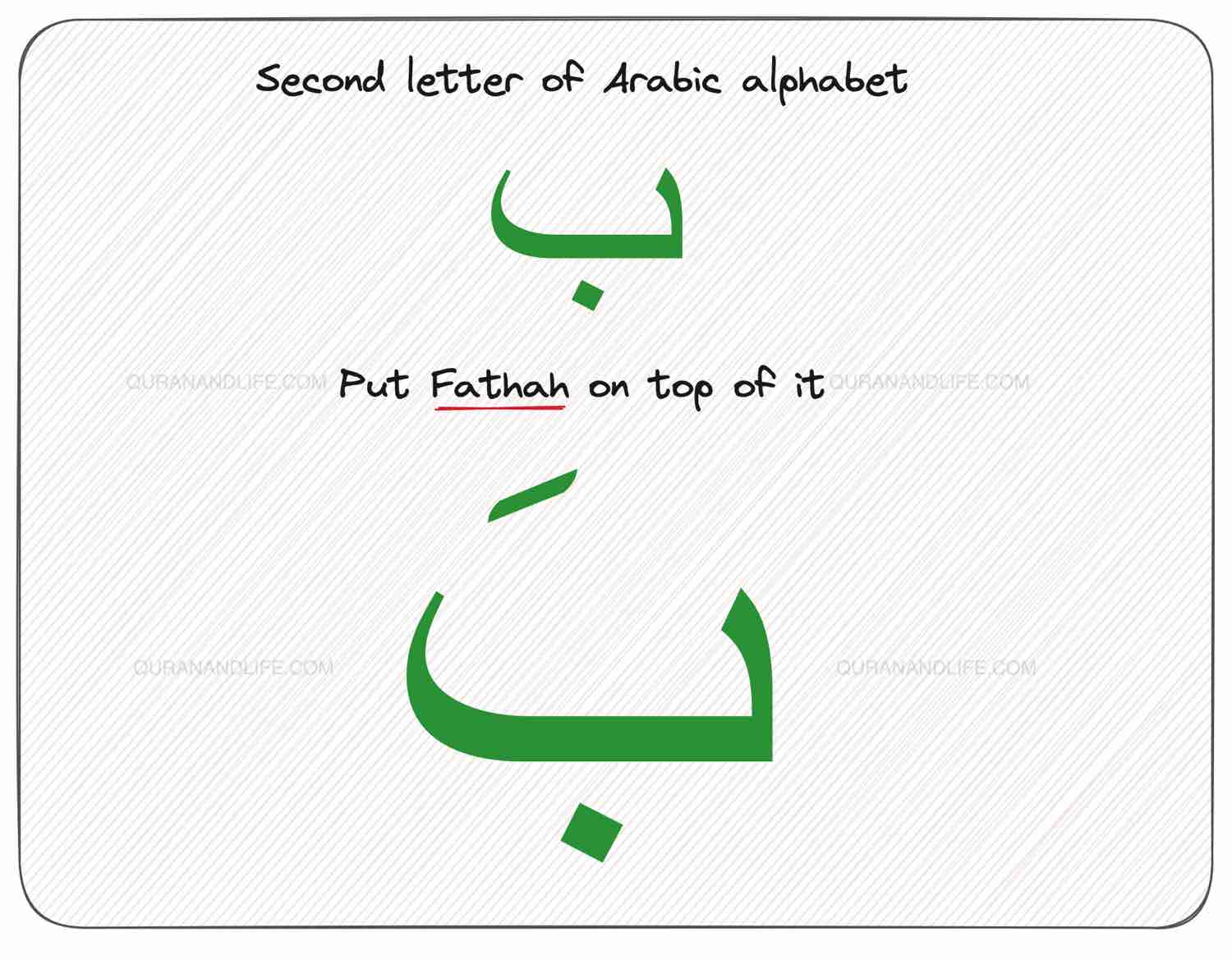 Harakat in Arabic Made Simple - Read Quran With Confidence - Quran and Life